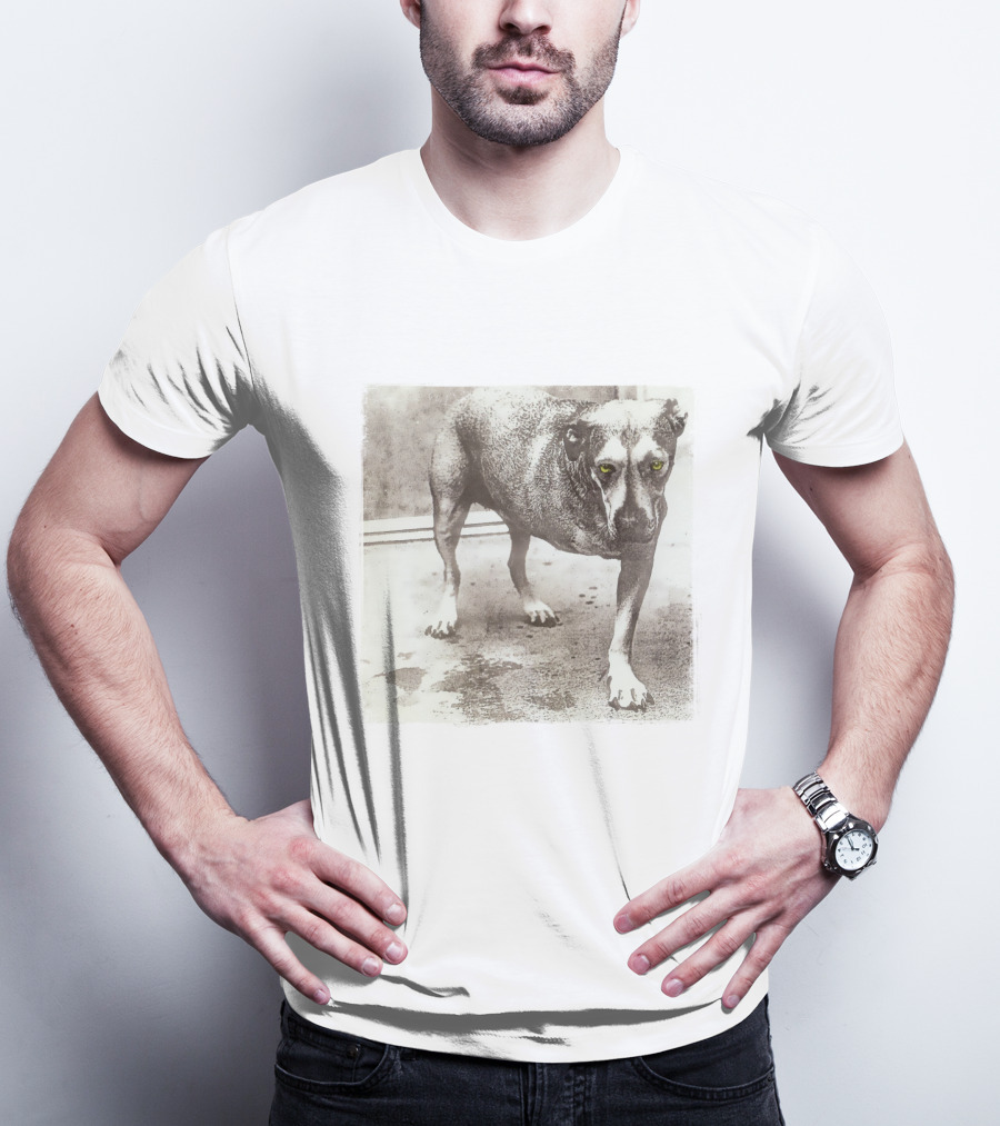Dog With Yellow Eyes Aic T-Shirt