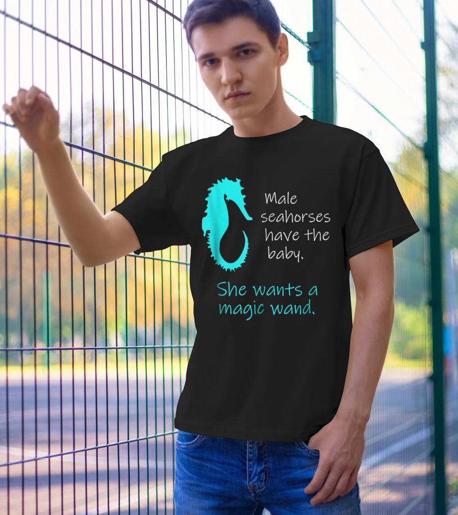 Male Seahorses Have The Baby She Wants A Magic Wand Dad To Be Maternity Tee96 T-Shirt