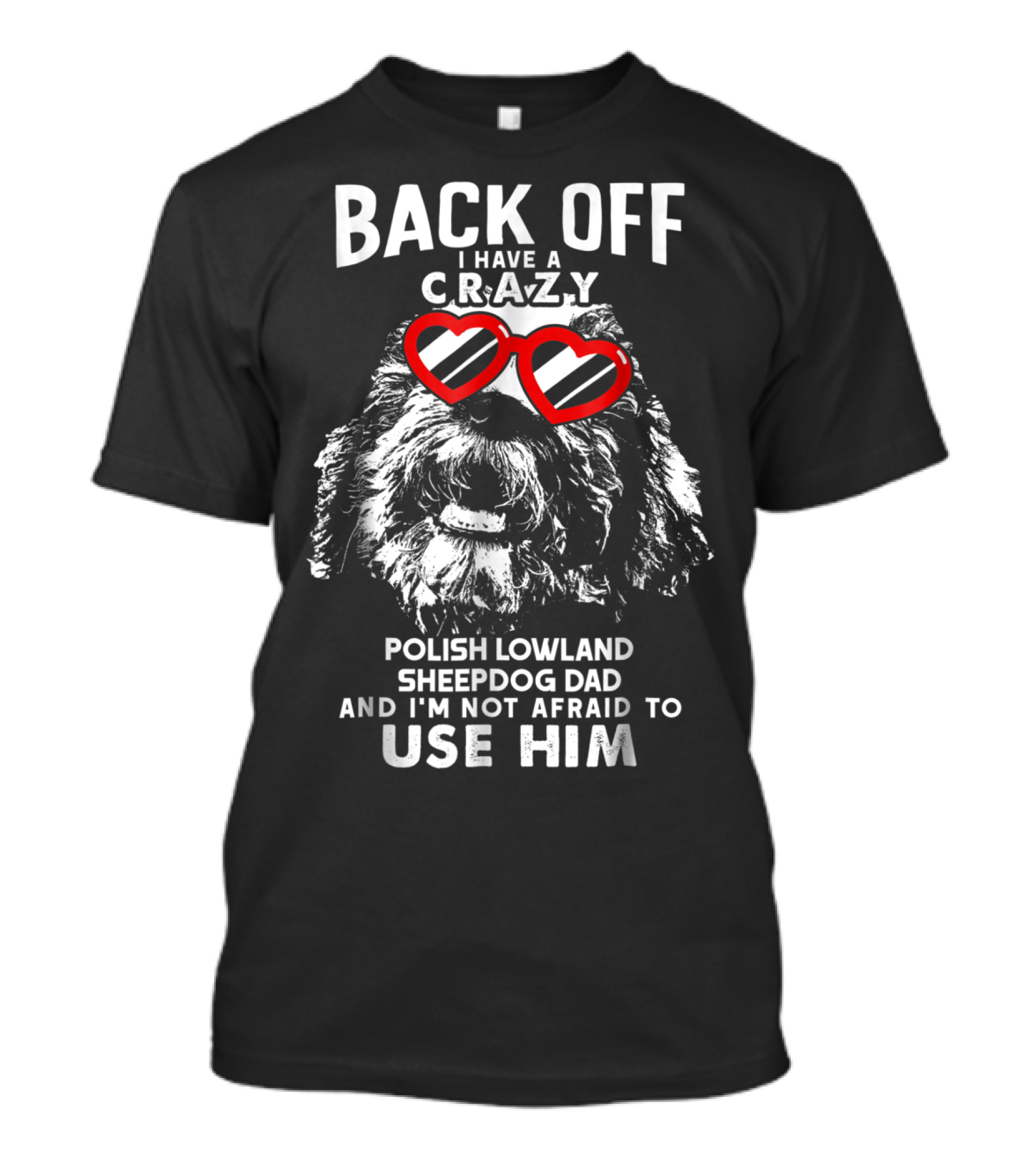 Back Off I Have A Crazy Polish Lowland Sheepdog Dad And I'm Not Afraid To Use Him T-Shirt