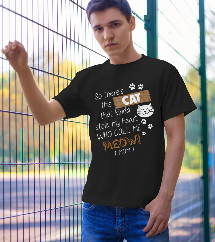So There's This Cat That Kinda Stole My Heart Who Call Me Meow Mom T-Shirt