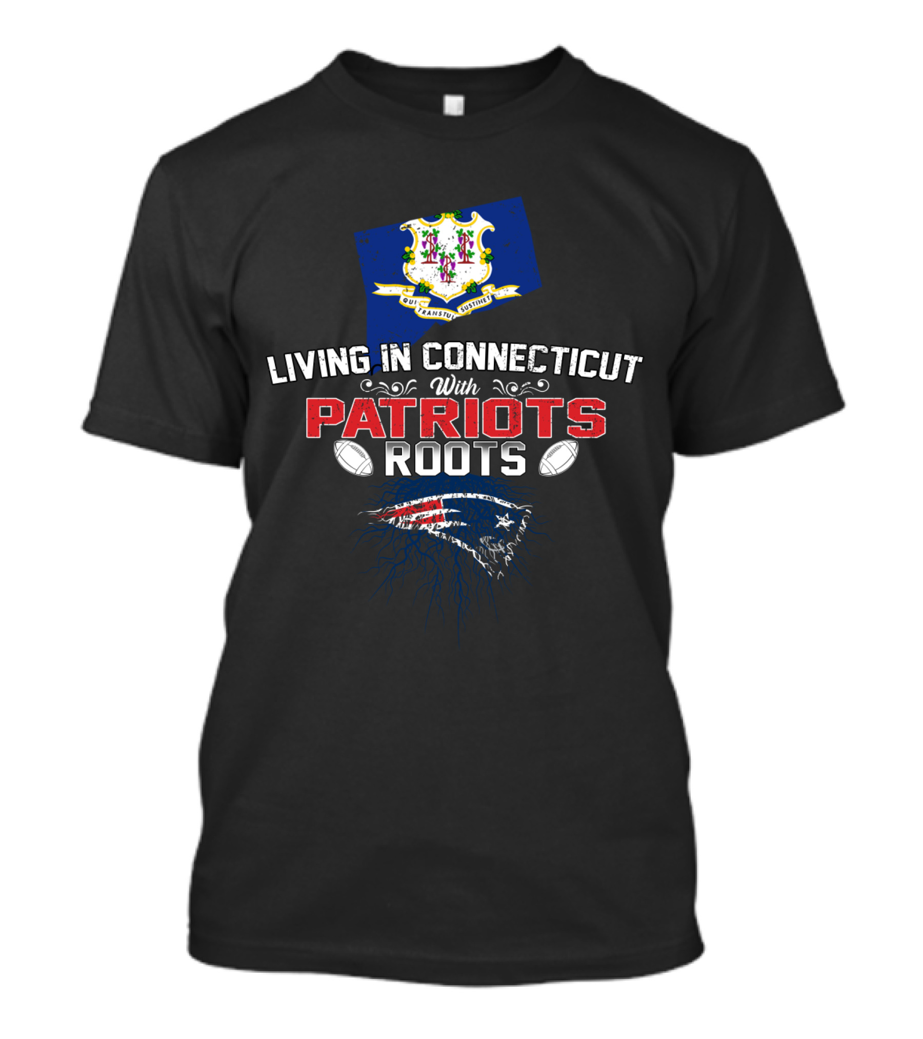 Living In Connecticut With Patriots Roots New England Football Flag T-Shirt