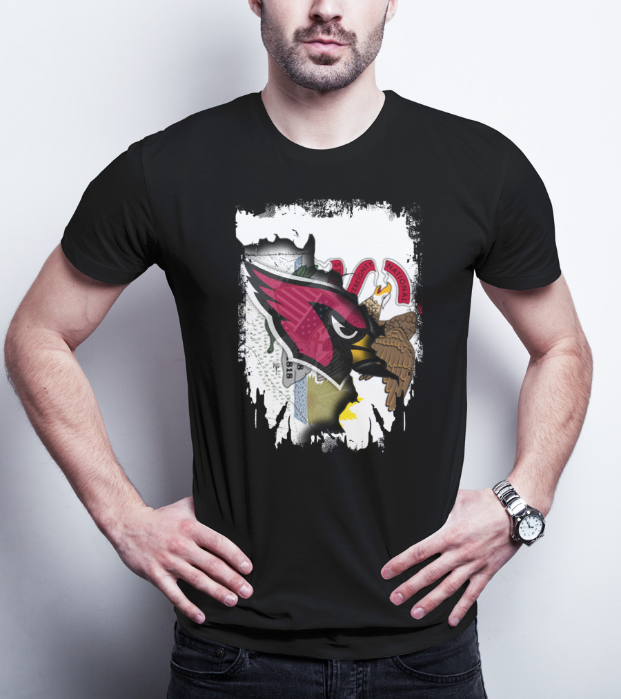 Illinois Pride With Fierce Cardinals Unity T-Shirt