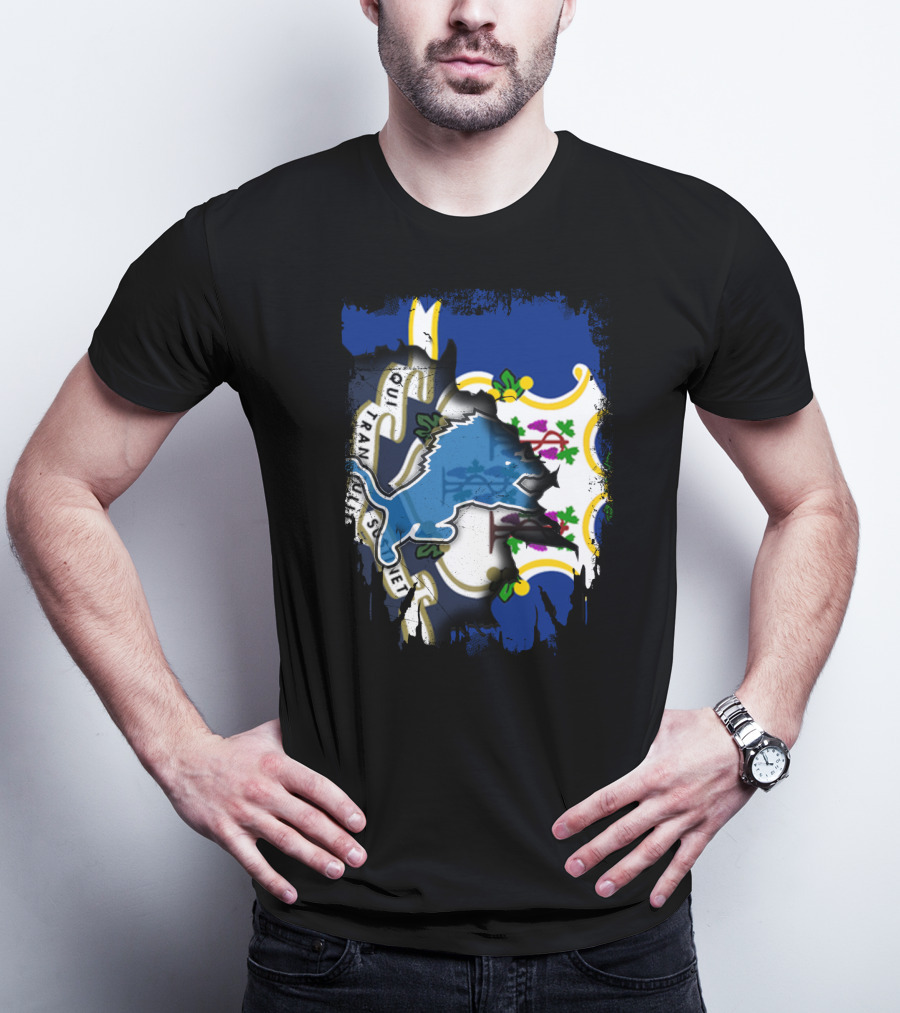 Connecticut State Flag With Detroit Lions Logo Fusion T-Shirt