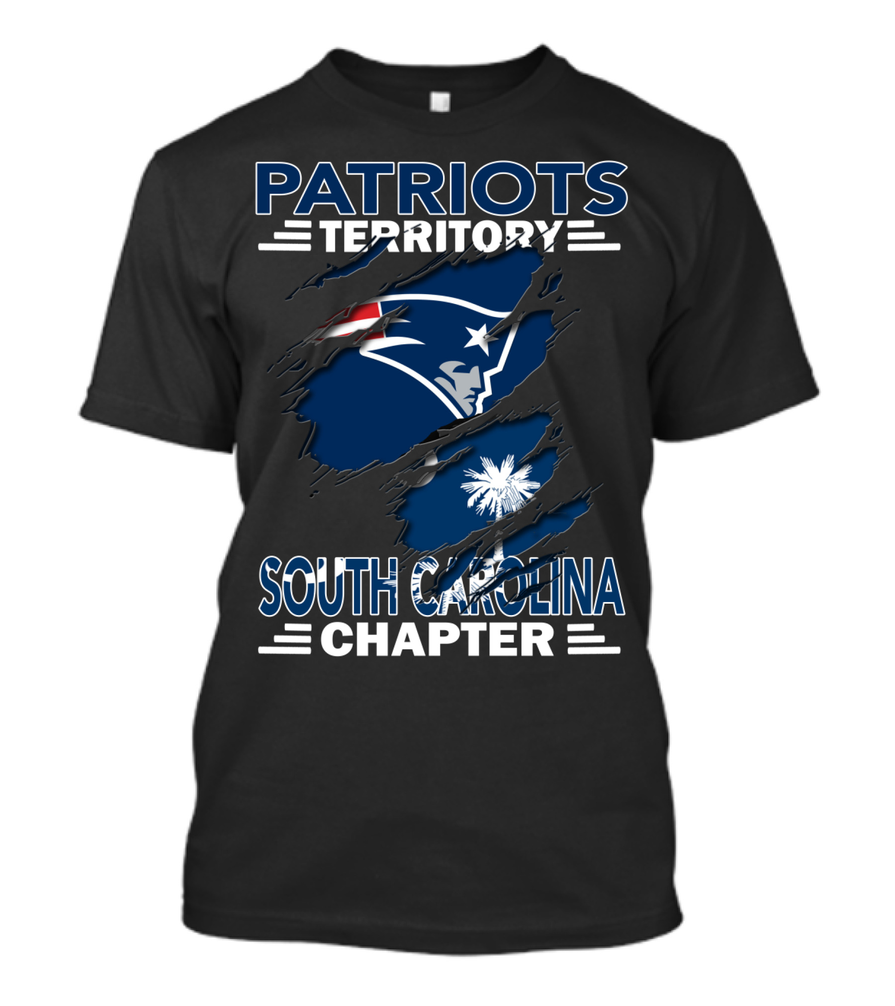 Patriots Territory South Carolina Chapter Pullover With Iconic Team Logo And State Flag Elements T-Shirt