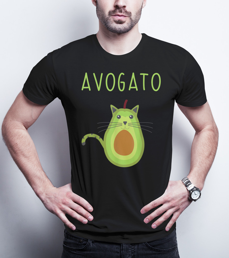 Cinco De Mayo Cinco De Meow Avogato Cat Avocado Kitty T-Shirt
