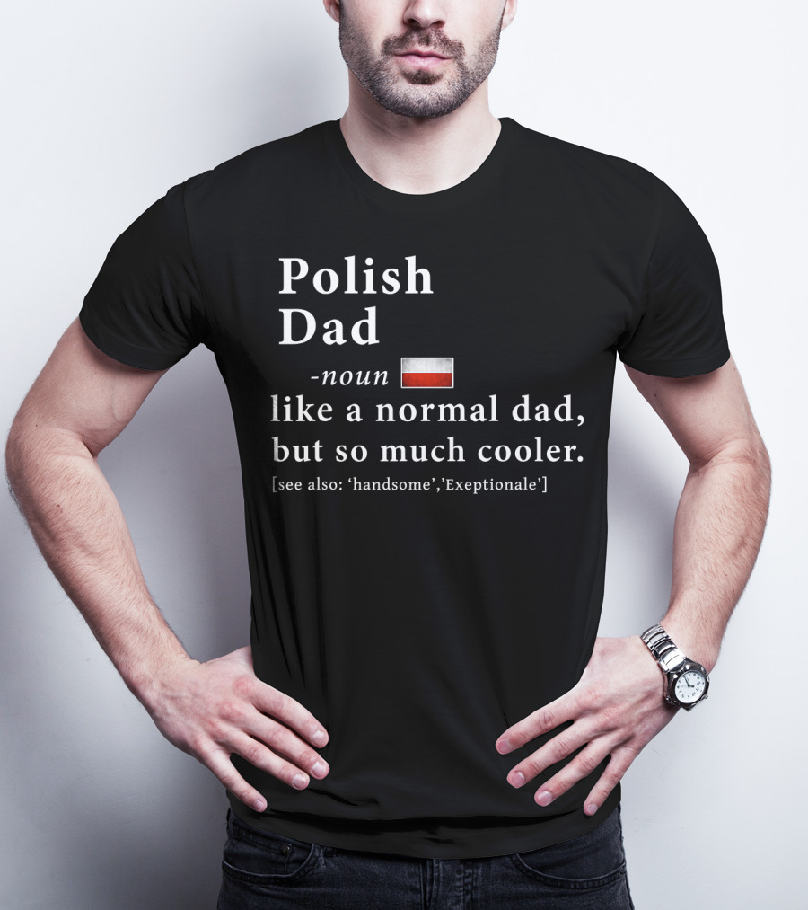 Polish Dad Noun Like A Normal Dad But So Much Cooler Handsome Exceptionale Polish Flag T-Shirt
