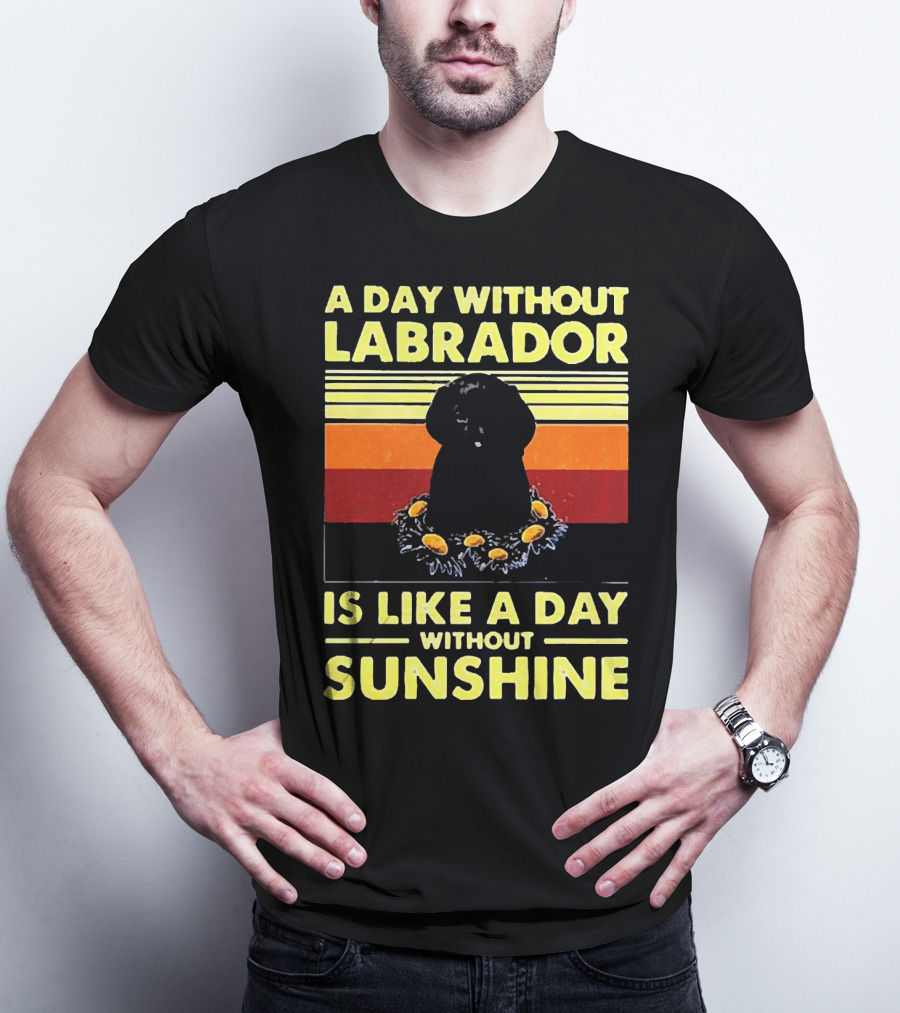 A Day Without Labrador Is Like A Day Without Sunshine Retro Sunset T-Shirt