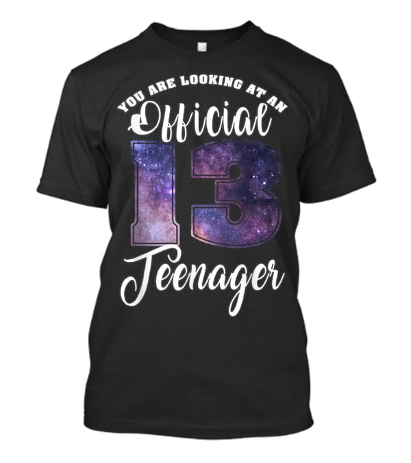 You Are Looking At An Official 13 Teenager T-Shirt