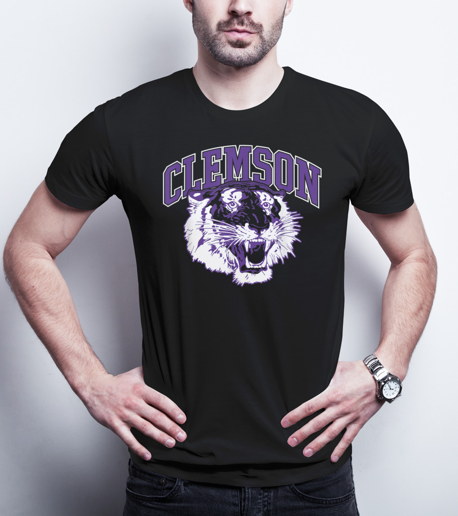 Clemson Tiger Vintage South Carolina Sports T-Shirt