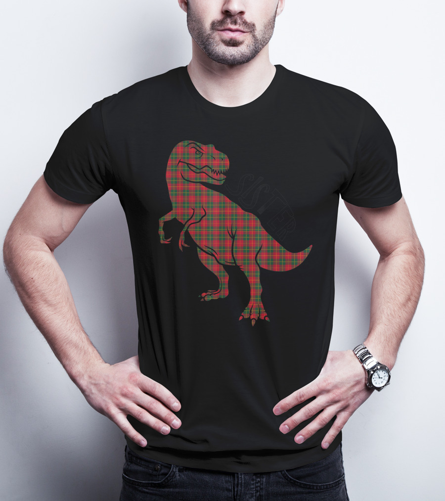 Sister Red Plaid Dinosaur T-Shirt