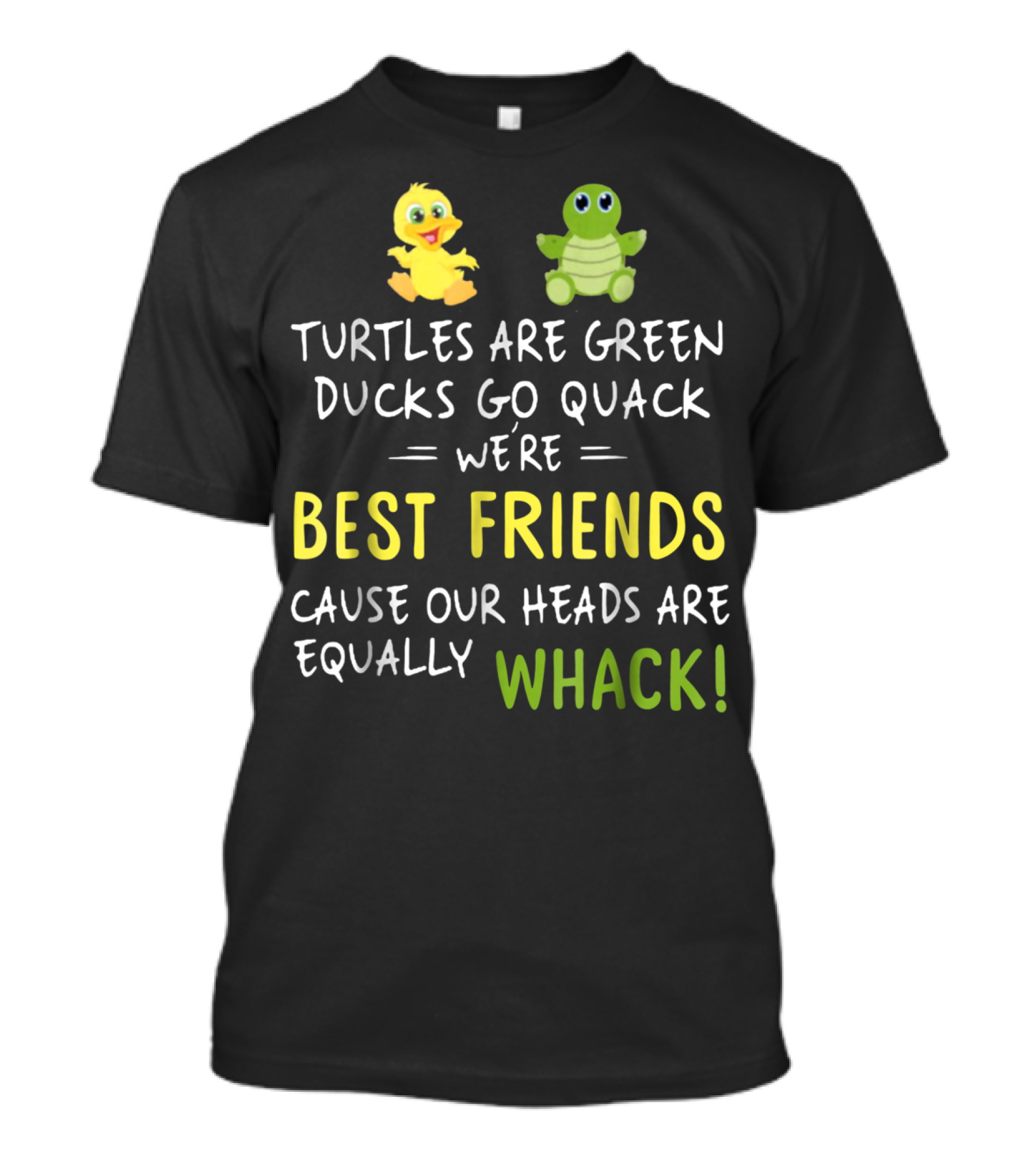 Turtles Are Green Ducks Go Quack We're Best Friends Cause Our Heads Are Equally Whack T-Shirt