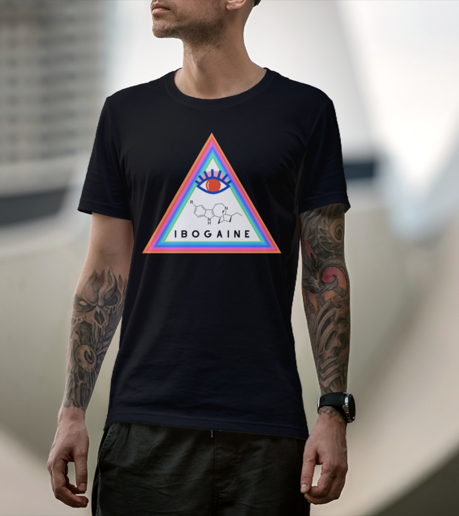 Ibogaine Molecular Structure Rainbow Triangle With Eye T-Shirt