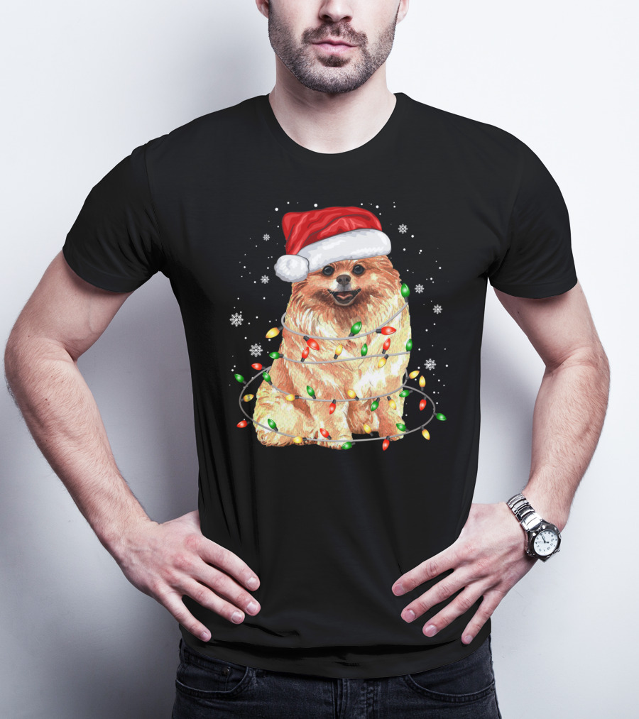 Pomeranian In Santa Hat With Christmas Lights And Snowflakes T-Shirt
