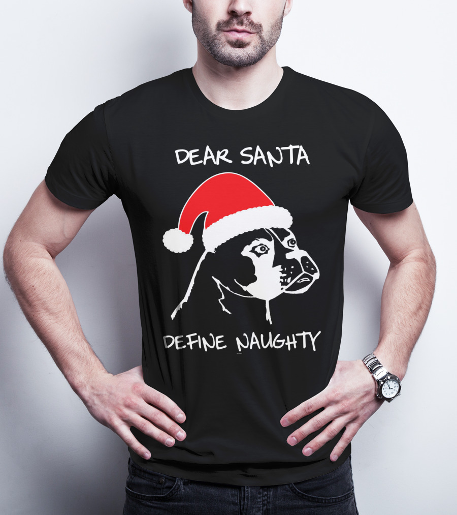 Dear Santa Define Naughty Boxer Funny Ugly Xmas Dog Lovers T-Shirt
