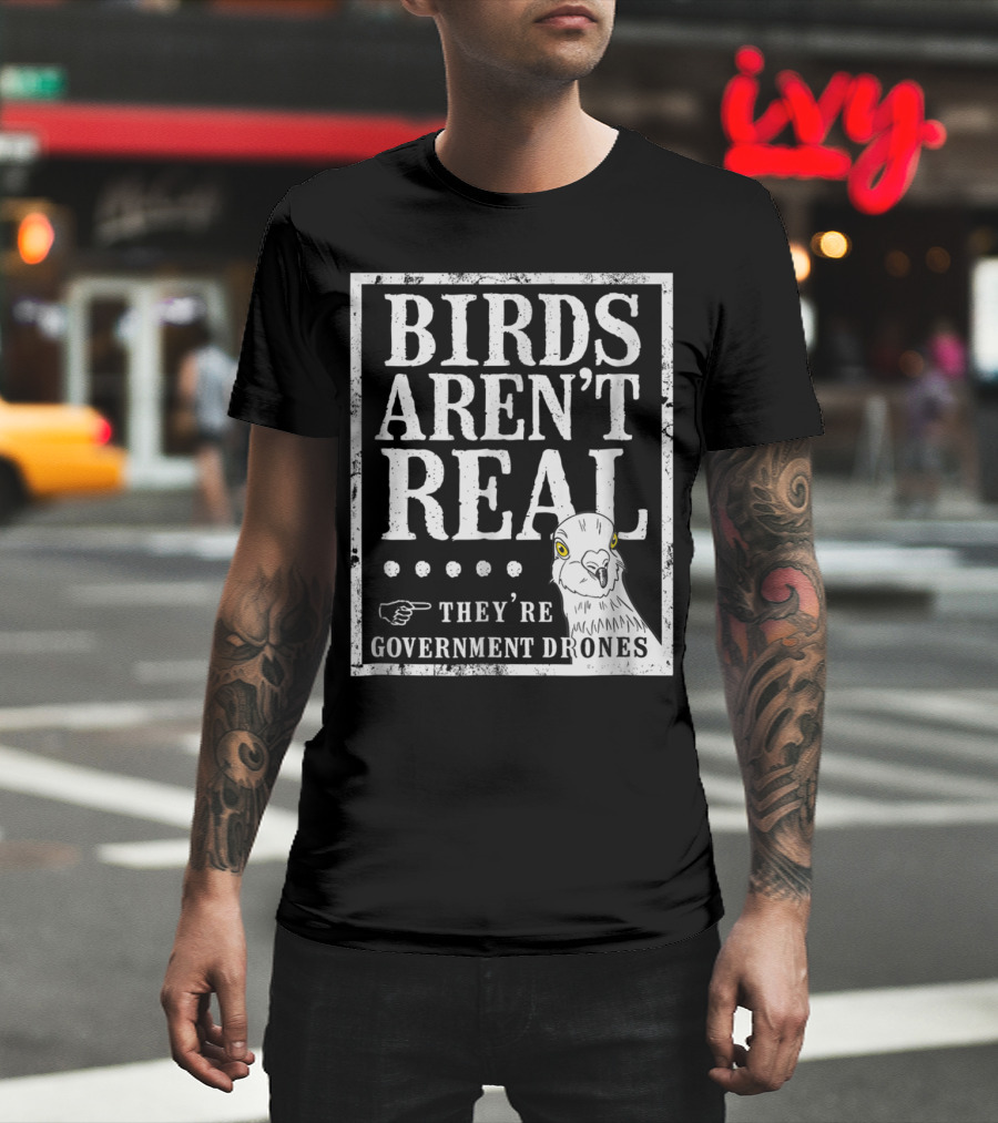 BIRDS AREN'T REAL THEY'RE GOVERNMENT DRONES MEME T-Shirt