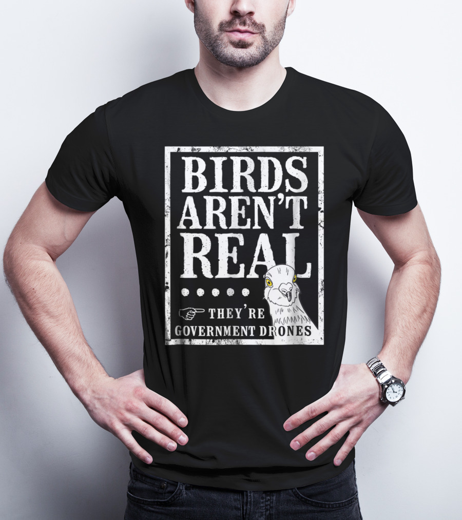 BIRDS AREN'T REAL THEY'RE GOVERNMENT DRONES MEME T-Shirt