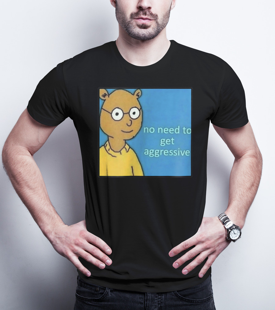No Need To Get Aggressive Meme Bear Funny Aesthetic T-Shirt