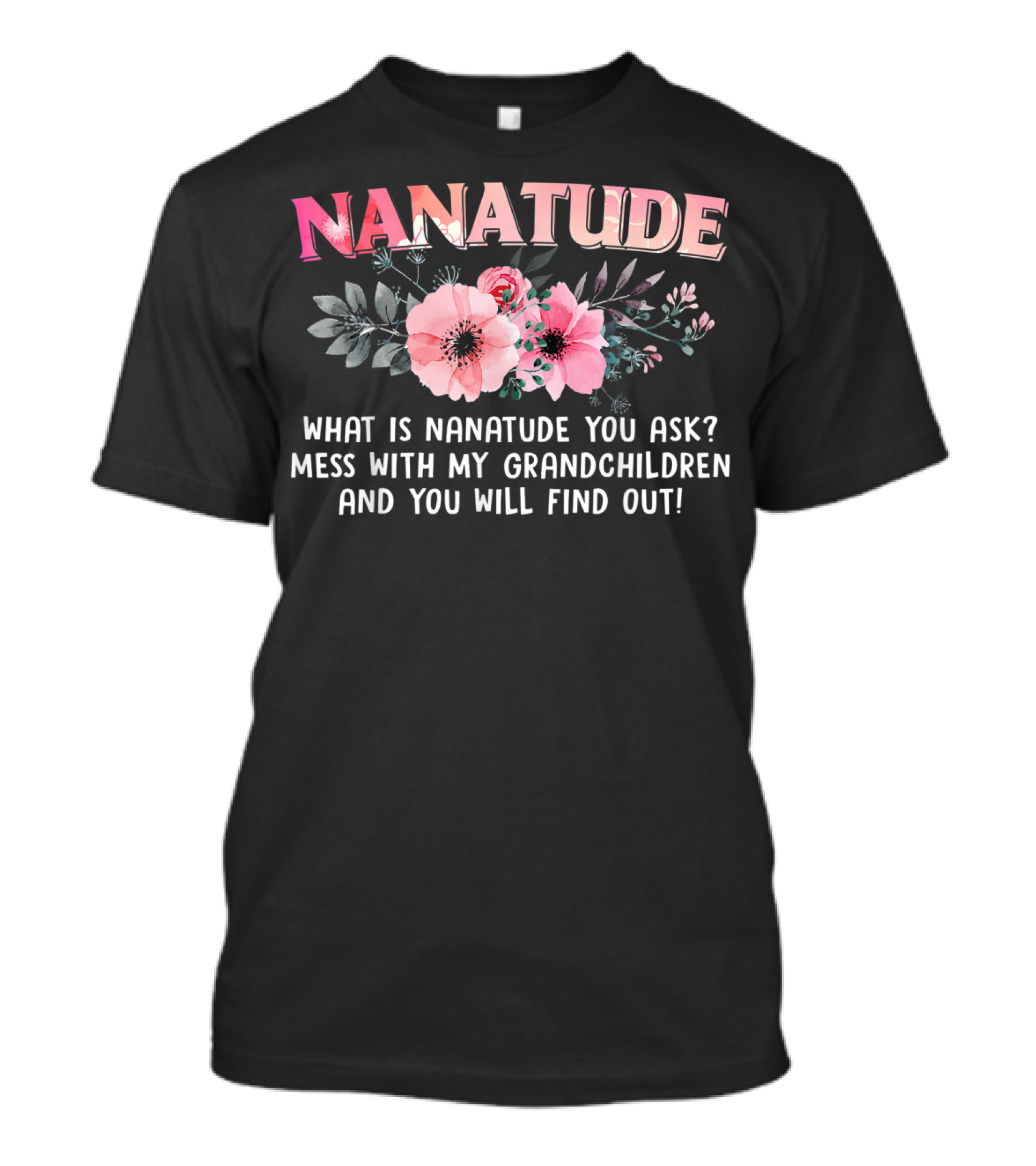 NANATUDE What Is Nanatude You Ask Mess With My Grandchildren And You Will Find Out T-Shirt