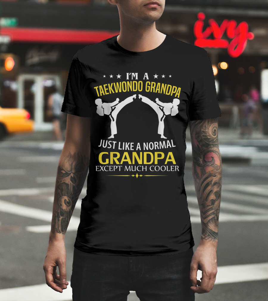 I'm A Taekwondo Grandpa Just Like A Normal Grandpa Except Much Cooler T-Shirt
