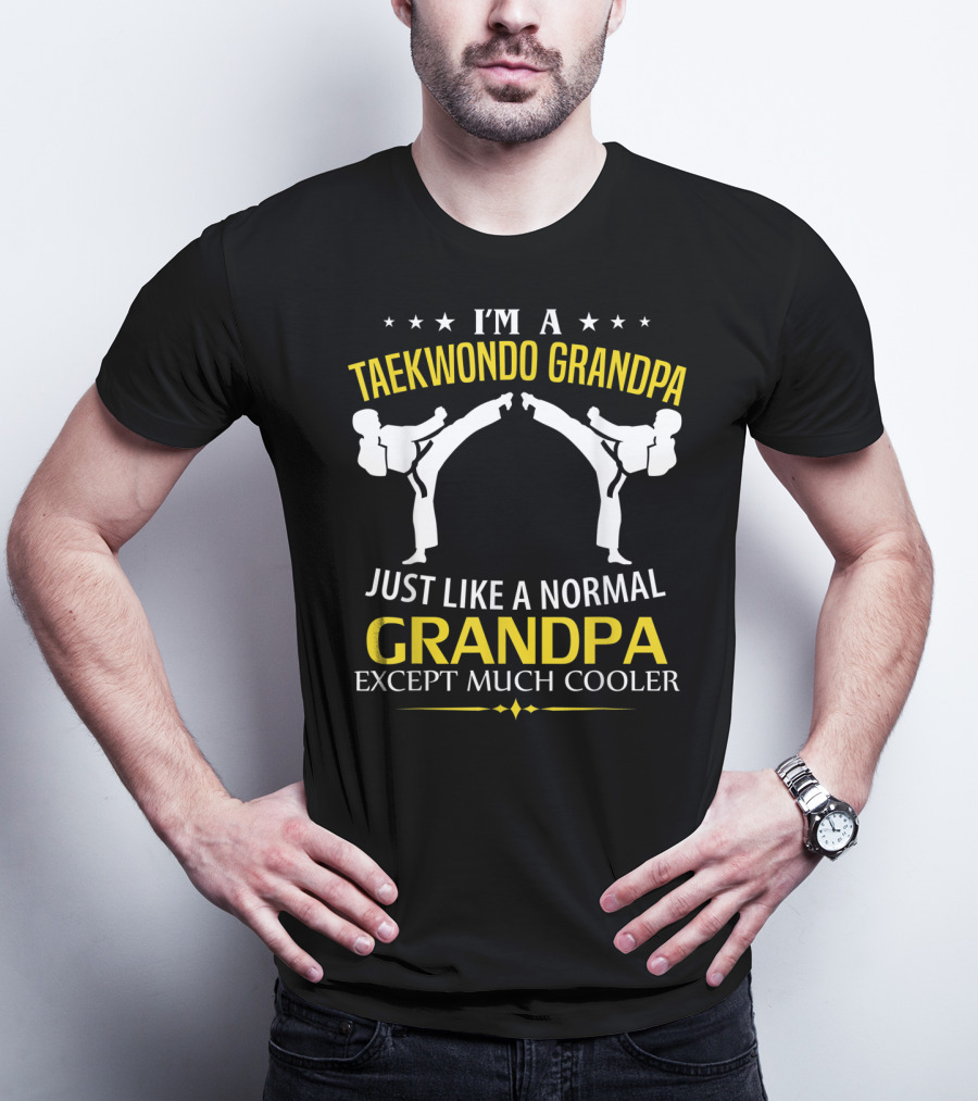 I'm A Taekwondo Grandpa Just Like A Normal Grandpa Except Much Cooler T-Shirt
