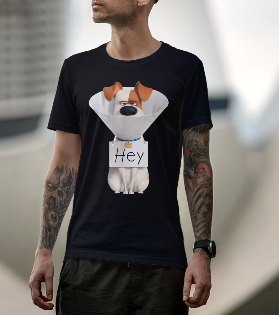 Hey Max Dog Cone Humor T-Shirt