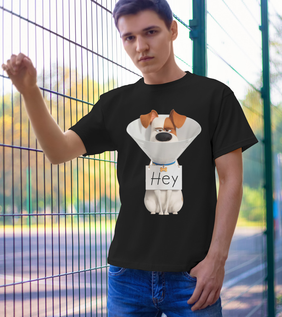 Hey Max Dog Cone Humor T-Shirt