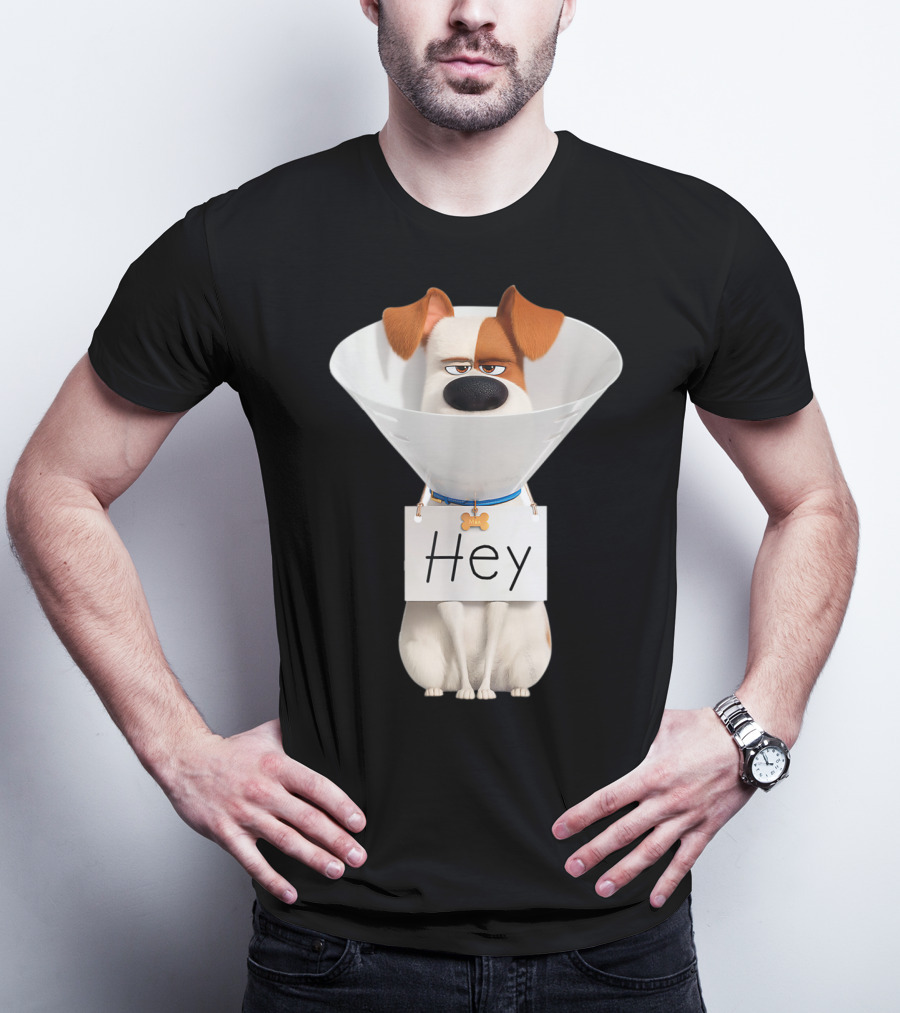 Hey Max Dog Cone Humor T-Shirt