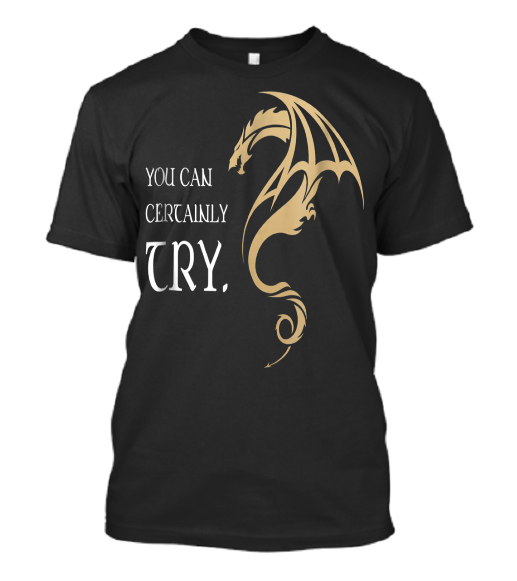 You Can Certainly Try Dragon Fire In The Dungeons T-Shirt