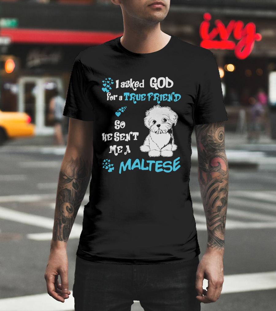 God Sent Me A True Friend Maltese Dog So He Sent Me A Maltese T-Shirt