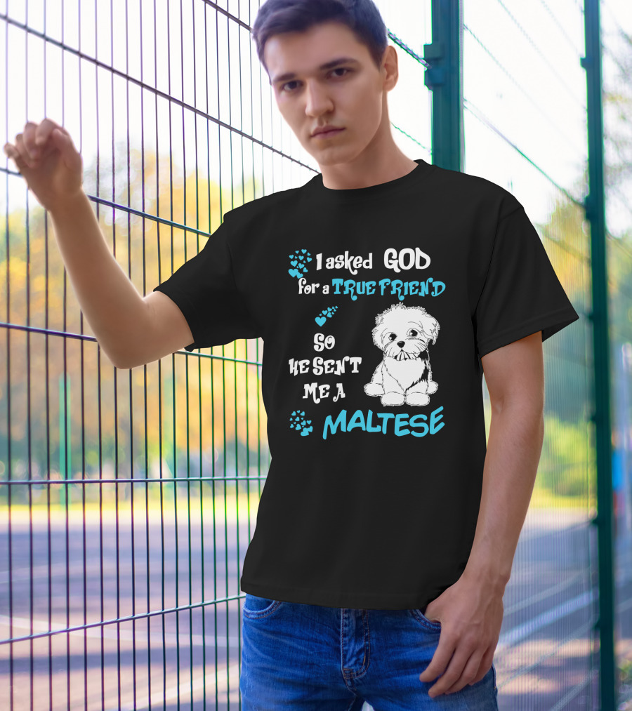 God Sent Me A True Friend Maltese Dog So He Sent Me A Maltese T-Shirt