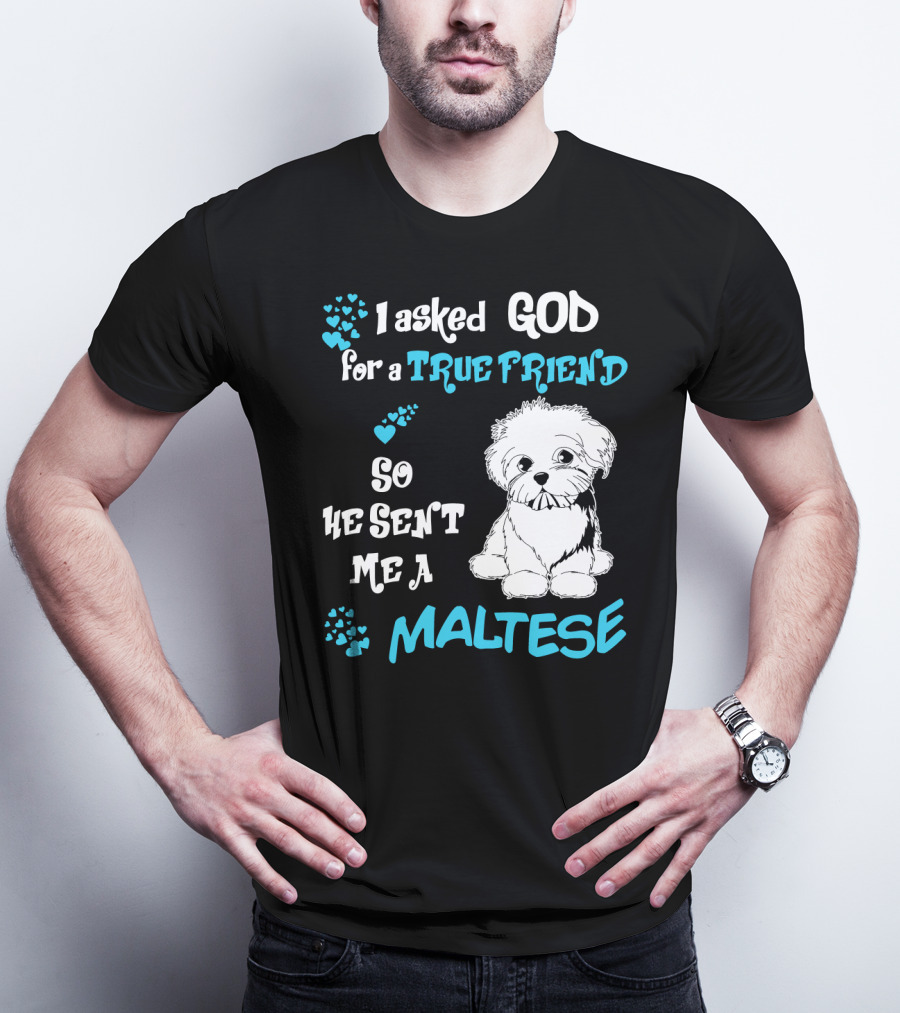 God Sent Me A True Friend Maltese Dog So He Sent Me A Maltese T-Shirt