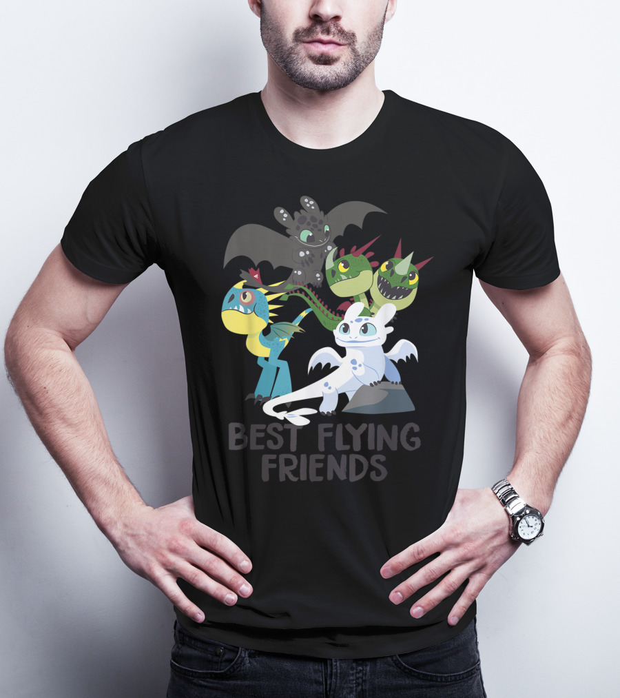 Best Flying Friends How To Train Your Dragon 3 Hidden World T-Shirt