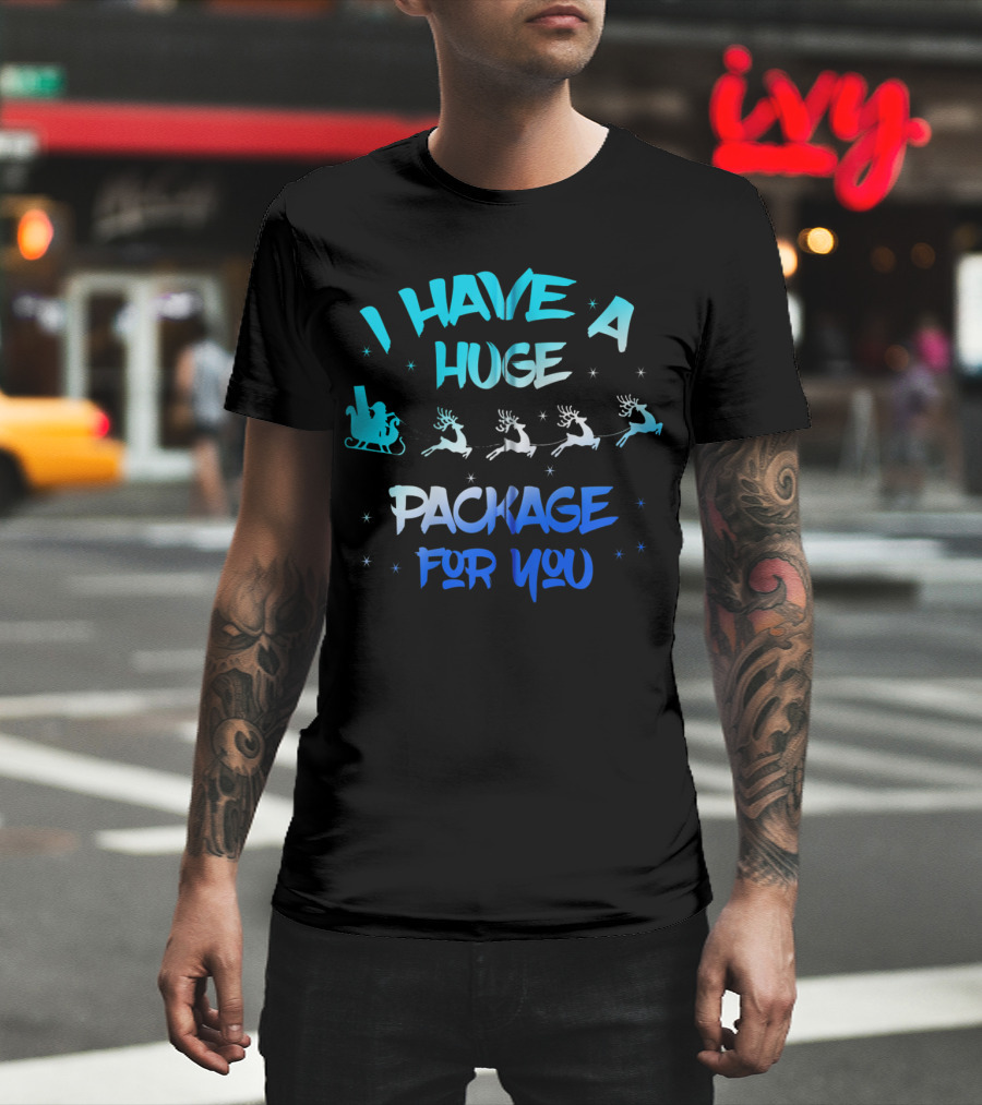 I Have A Huge Package For You Santa Reindeer Sleigh T-Shirt