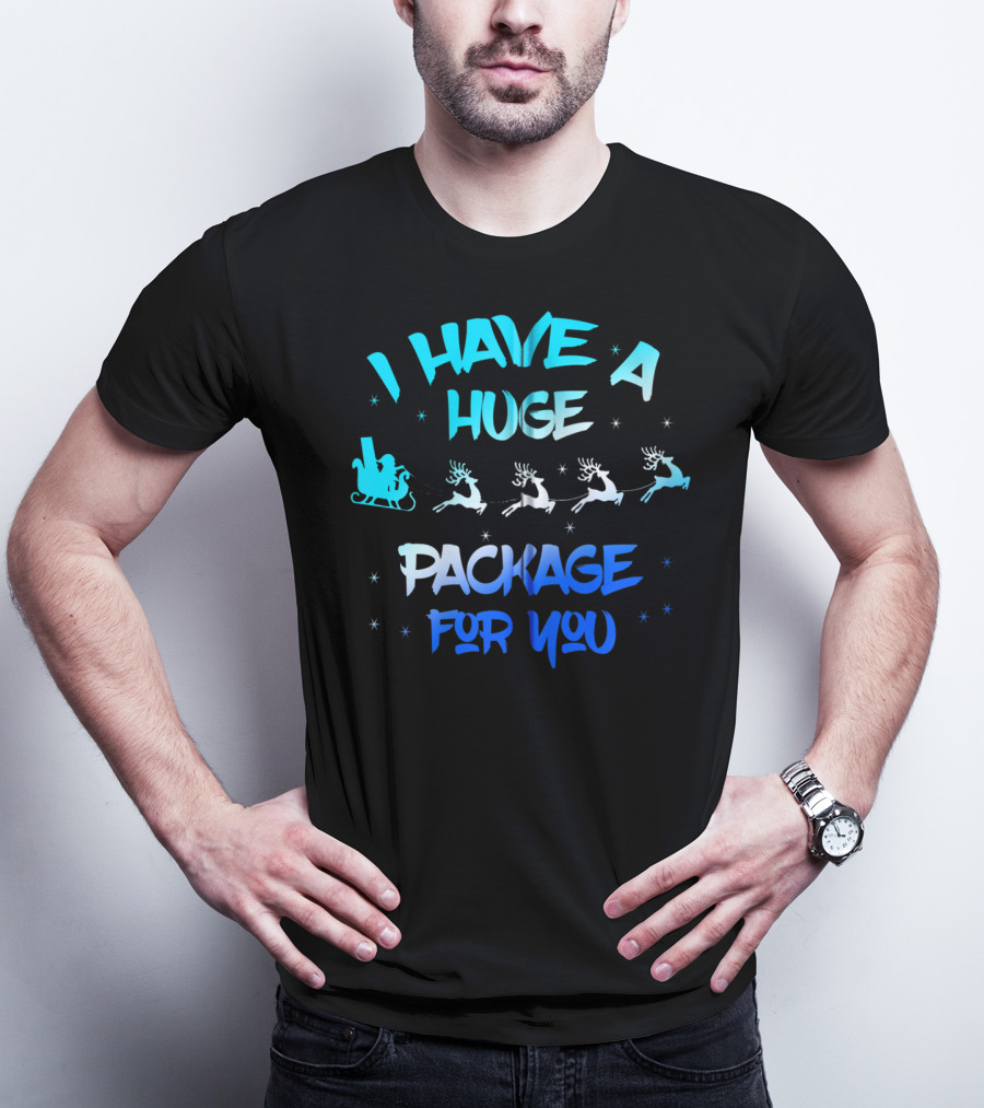 I Have A Huge Package For You Santa Reindeer Sleigh T-Shirt