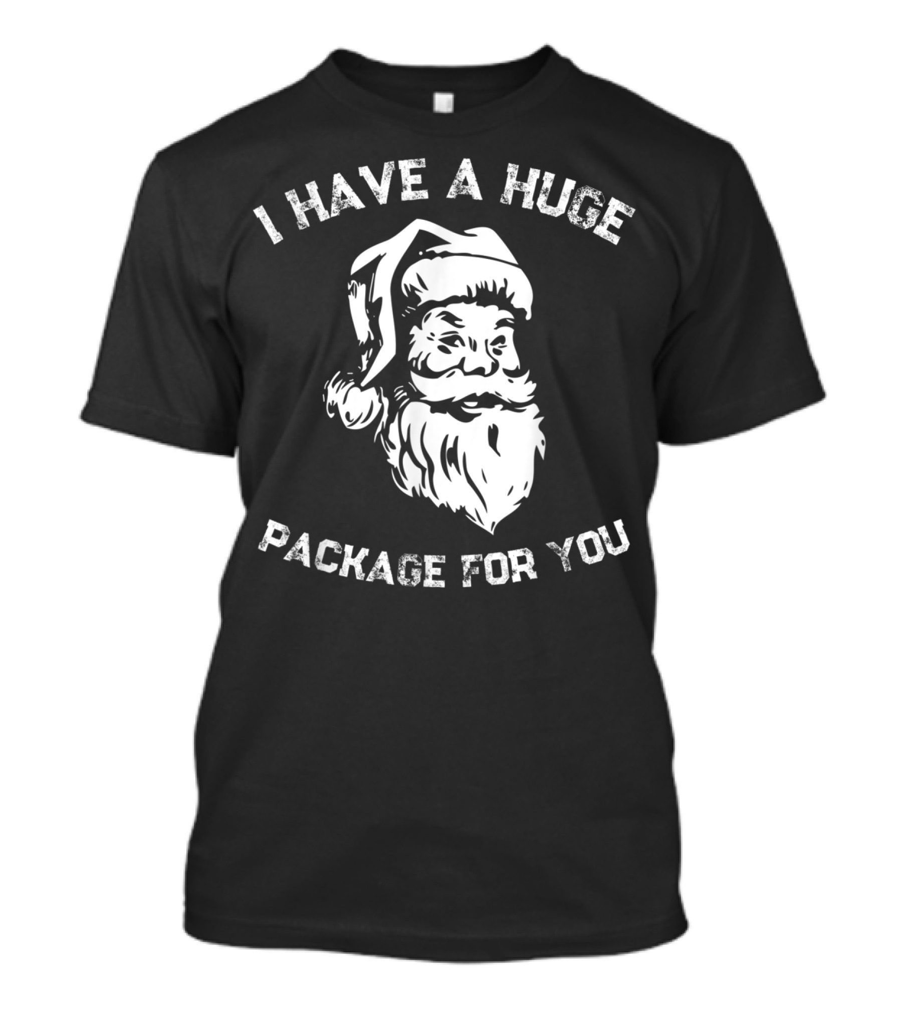 I Have A Huge Package For You Santa T-Shirt