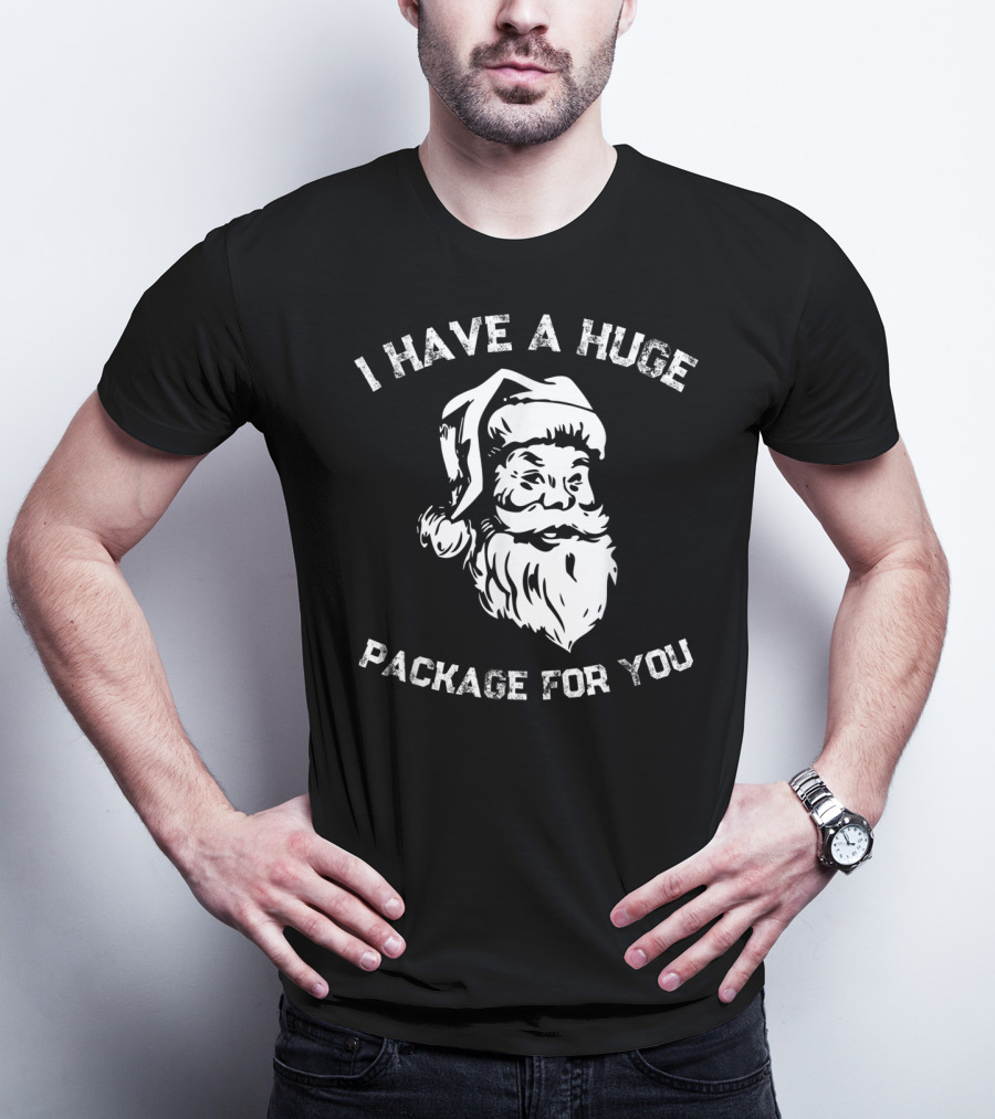 I Have A Huge Package For You Santa T-Shirt