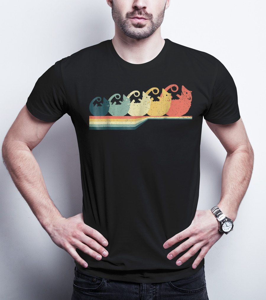 OPOSSUM Vintage Style Retro Rainbow T-Shirt
