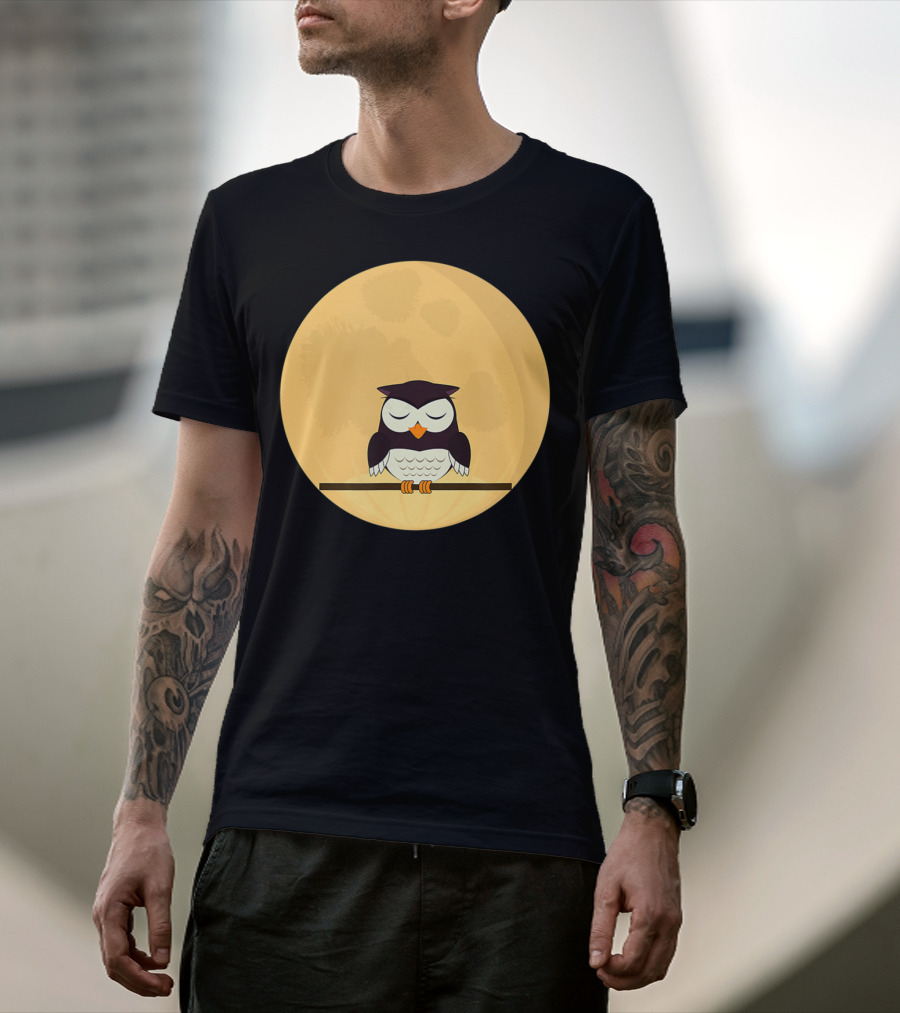 An Owl And The Full Moon Night Sky T-Shirt