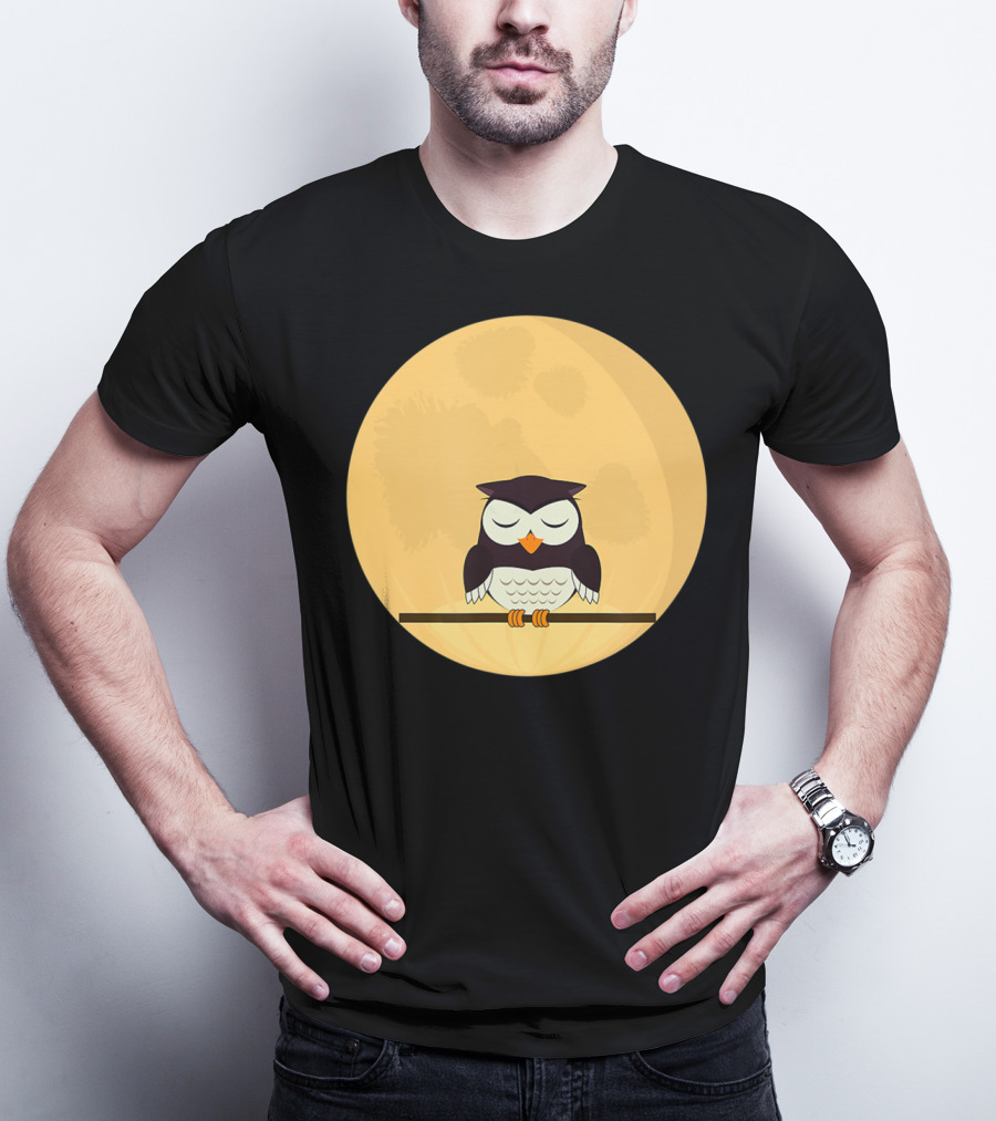 An Owl And The Full Moon Night Sky T-Shirt