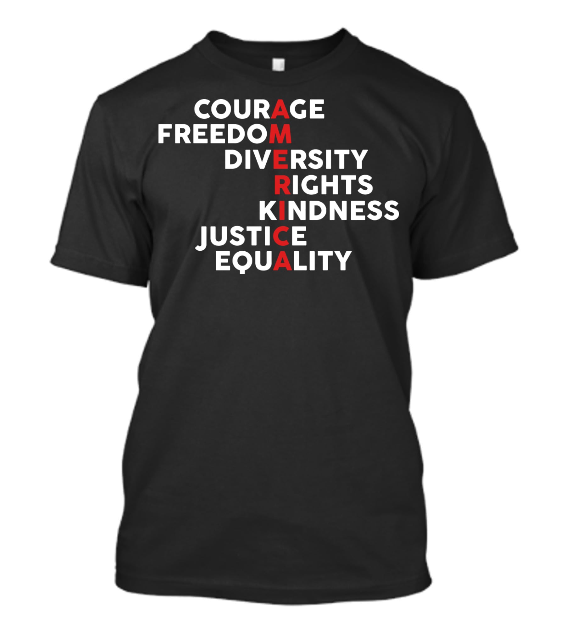 COURAGE FREEDOM DIVERSITY RIGHTS KINDNESS JUSTICE EQUALITY AMERICA T-Shirt