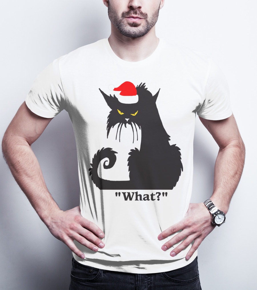 What Cat With Santa Hat T-Shirt