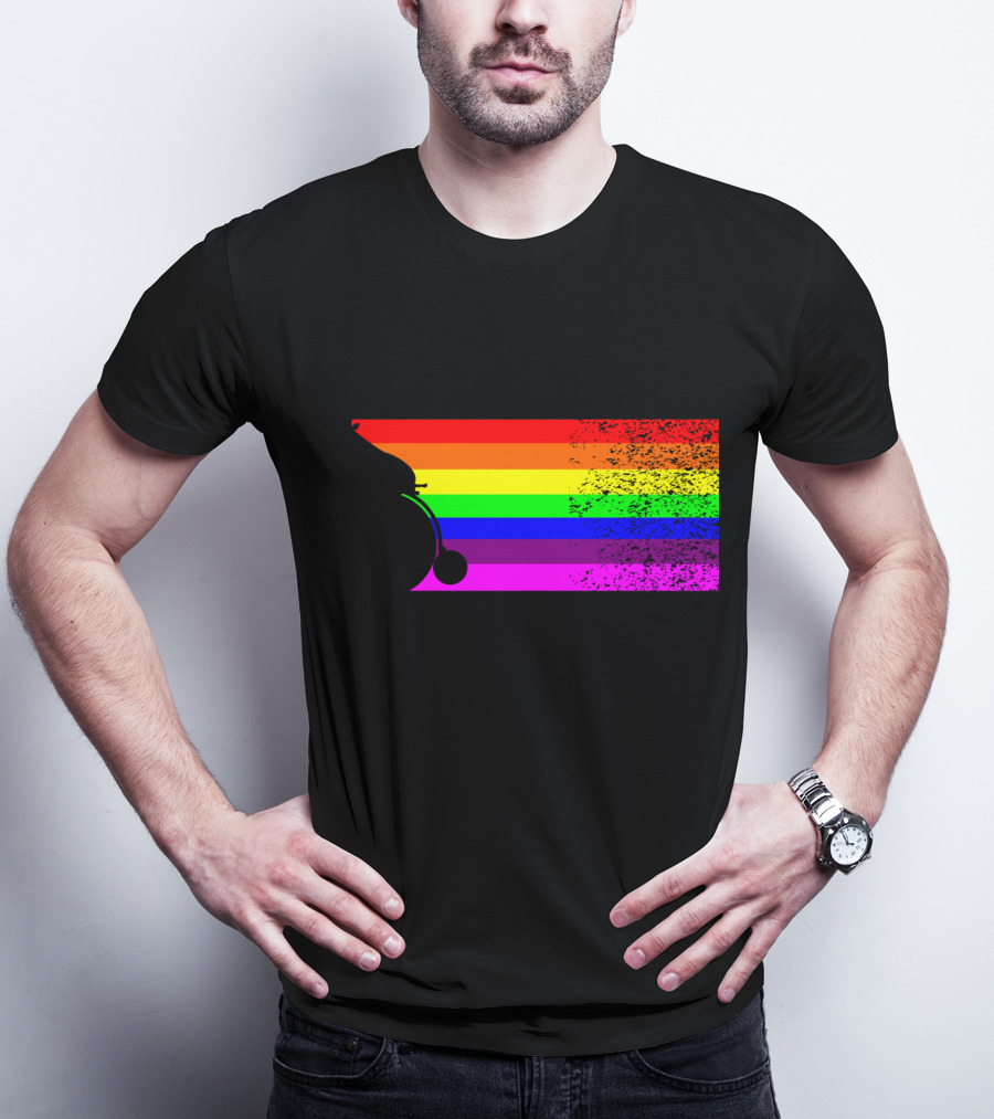 Giraffe Riding A Bike With Retro Rainbow Stripes T-Shirt