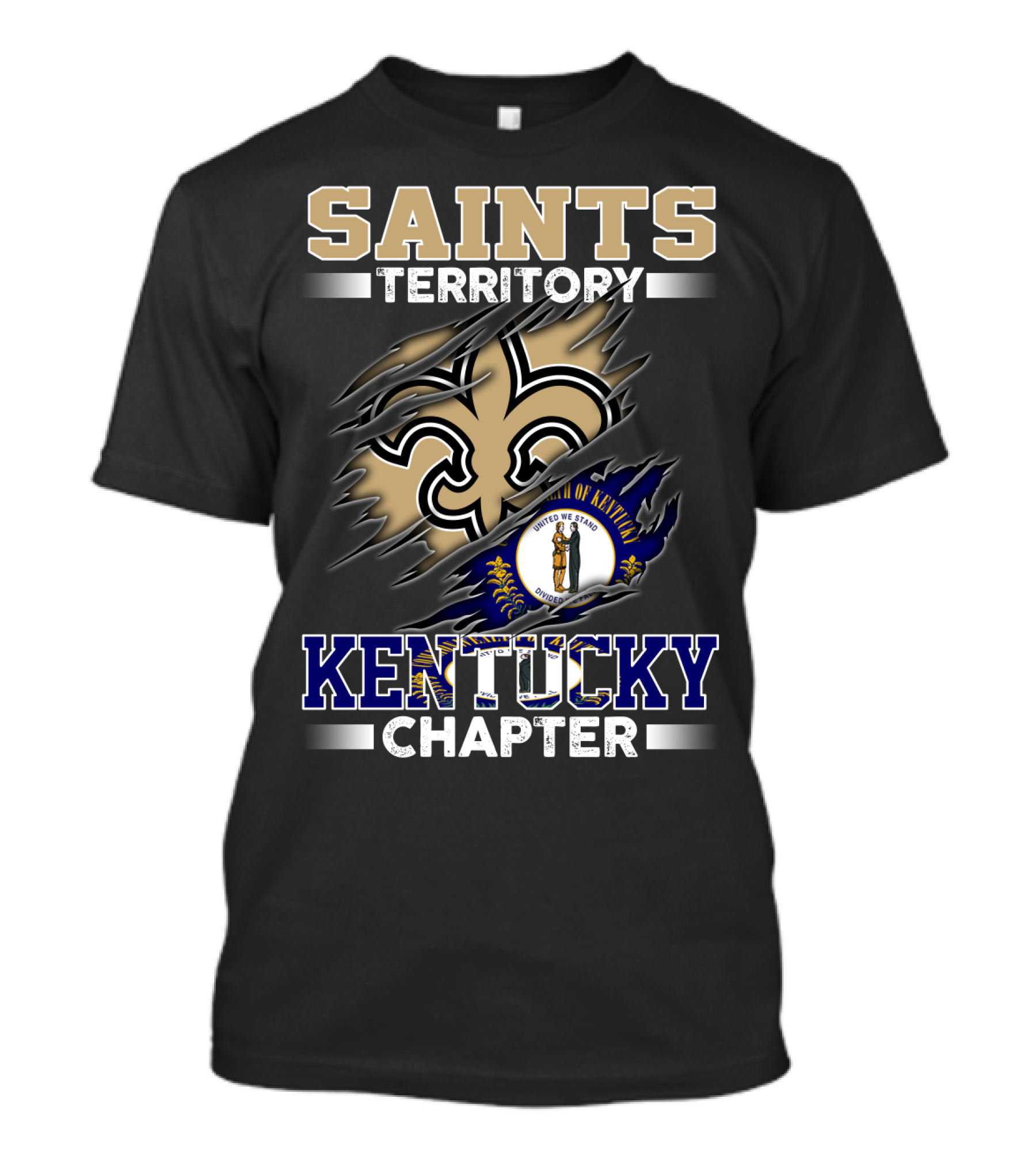 Saints Territory Kentucky Chapter Fleur-De-Lis State Flag T-Shirt