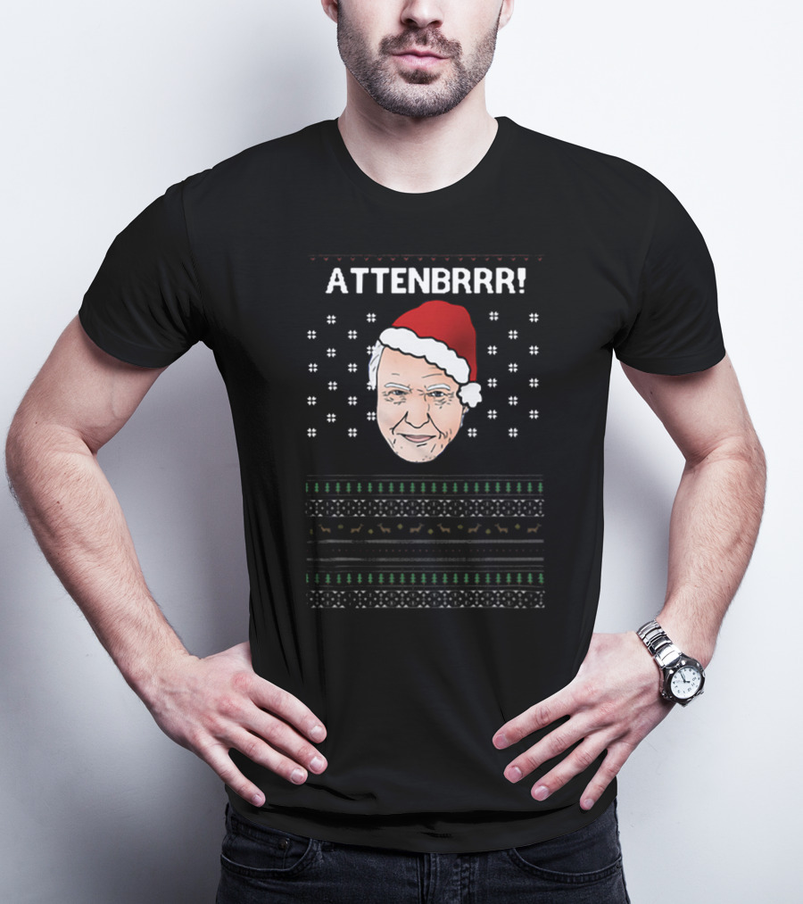 David Attenborough Attenbrrr Christmas Sweater Style Santa Hat Snowflakes T-Shirt
