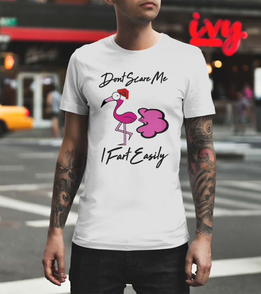 Dont Scare Me I Fart Easily Flamingo With Santa Hat T-Shirt