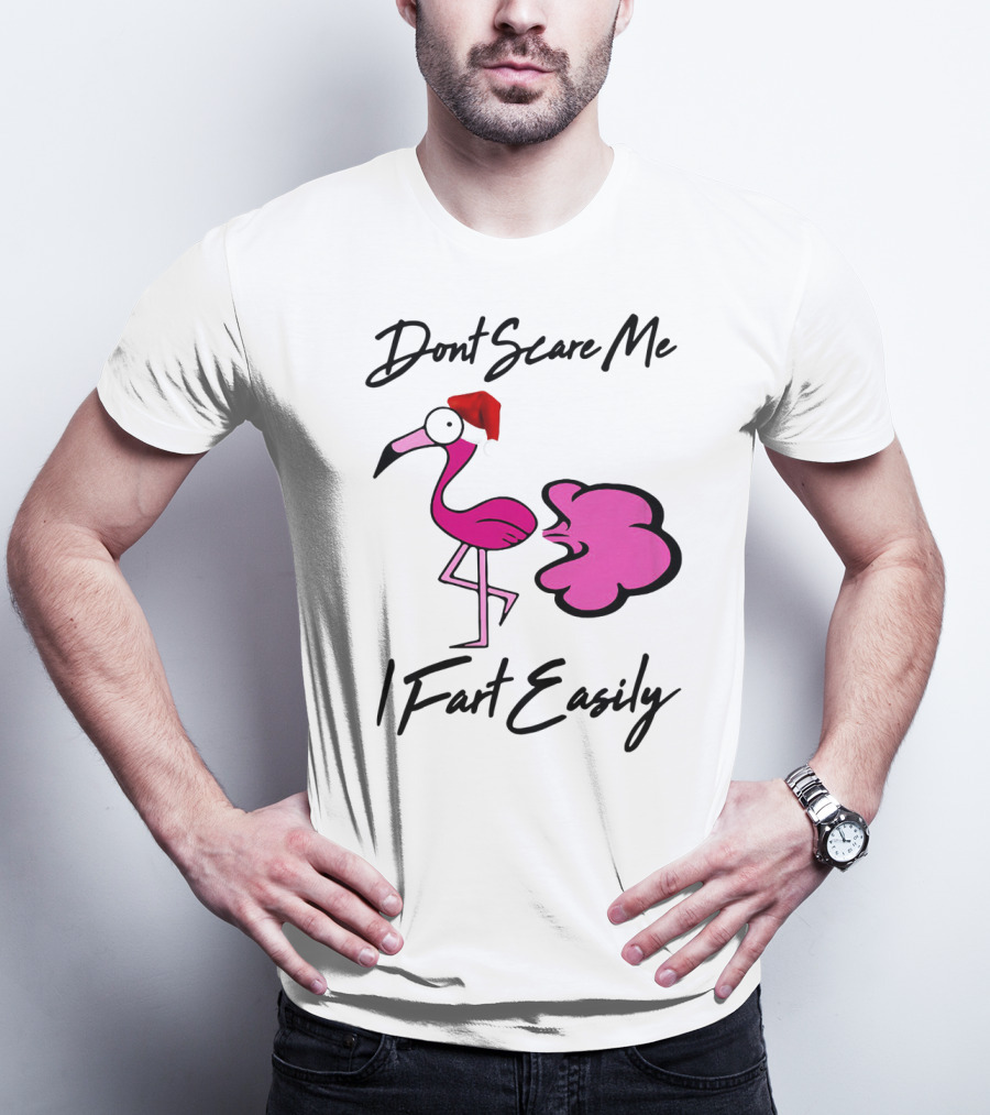 Dont Scare Me I Fart Easily Flamingo With Santa Hat T-Shirt