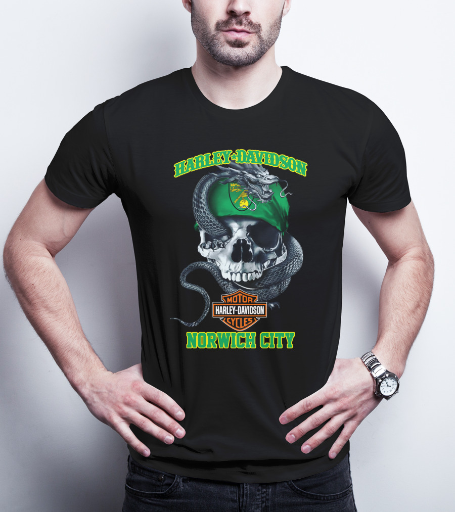 Harley Davidson Motor Cycles Skull Snake Norwich City T-Shirt