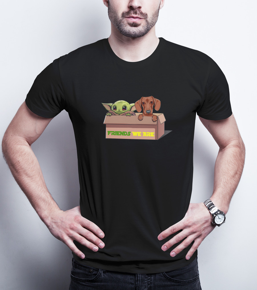 Friends We Are Baby Yoda Dachshund Box T-Shirt