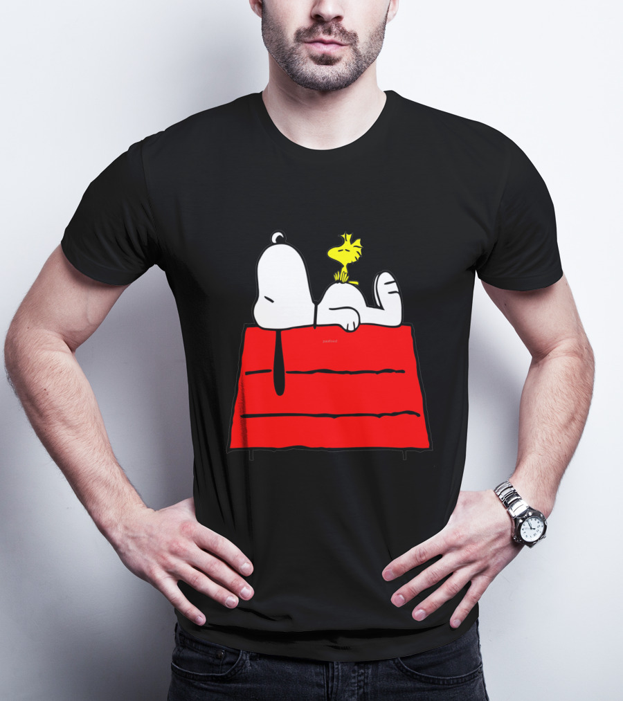 Snoopy Sleeping On Red Doghouse With Woodstock T-Shirt