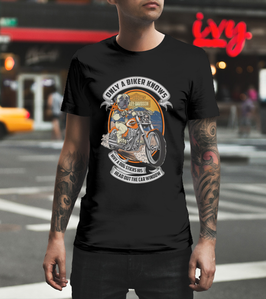 Only A Biker Knows Why A Dog Sticks His Head Out The Car Window Harley Davidson Bullmastiff T-Shirt